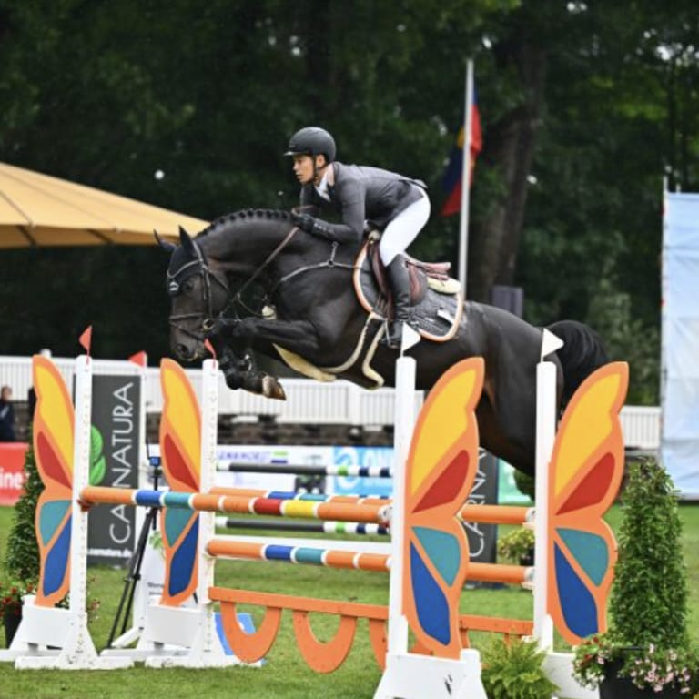 Elite Stallions - Stallions